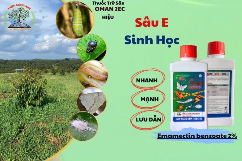 EMAMECTIN BENZOATE – HOẠT CHẤT SINH HỌC ĐẶC TRỊ SÂU HẠI HIỆU QUẢ ...